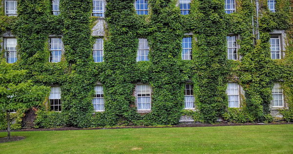 7 of the Best Things to See and Do on a Maynooth Day Trip | Sidewalk ...