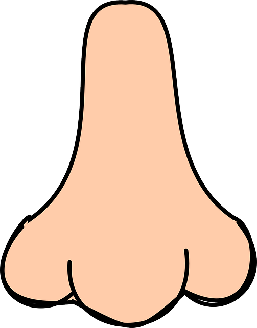 ¡DESCÚBRETE!: abril 2015