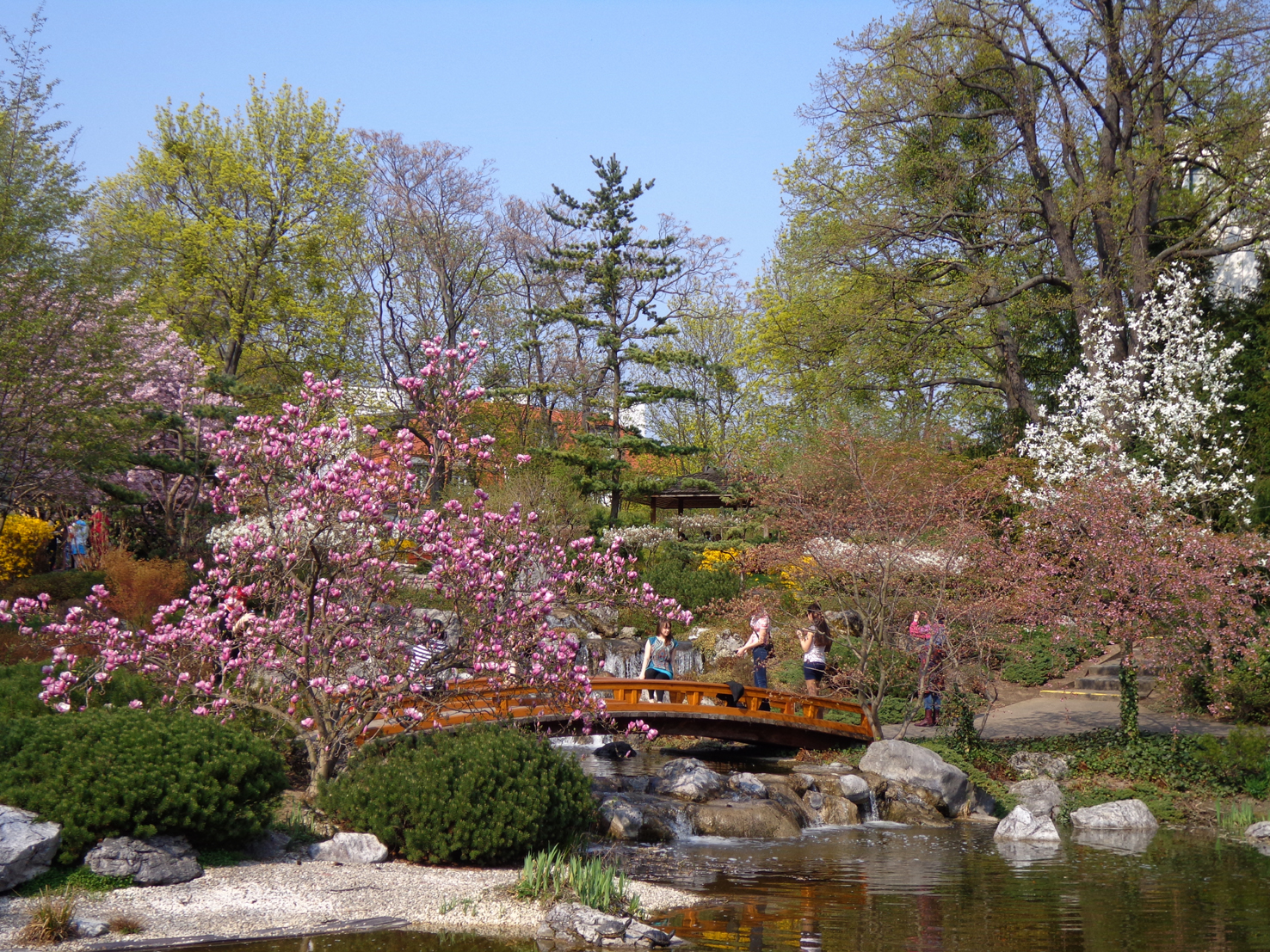 Vreni's Vienna Daily Photo: Spring Has Finally Sprung #1