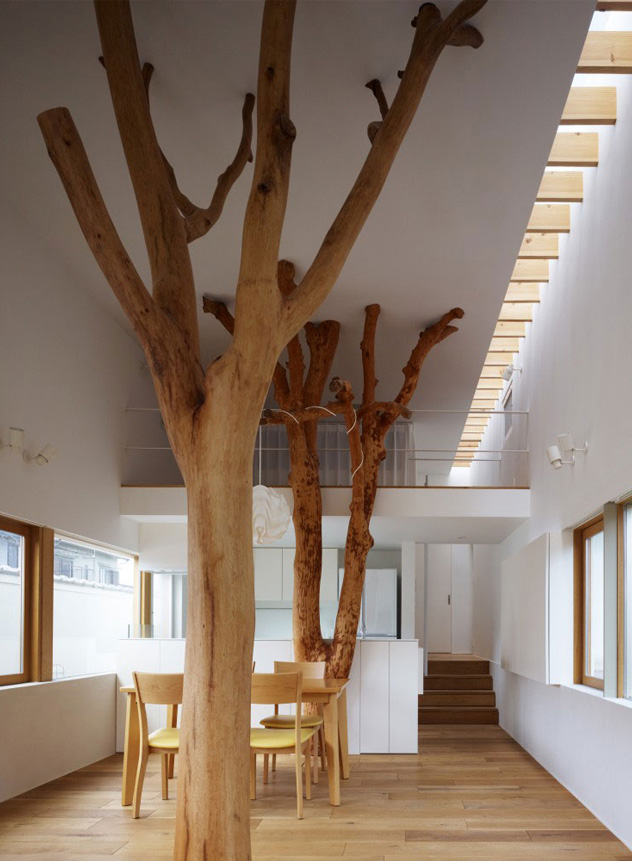 Studio Krishka: Interior inspiration: When trees enter the interior!