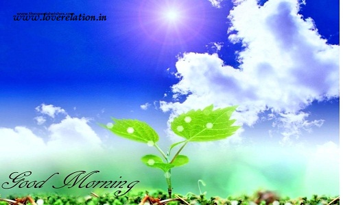 Best 50+ Good Morning New HD Images - Free Morning Photos - Attitude Status