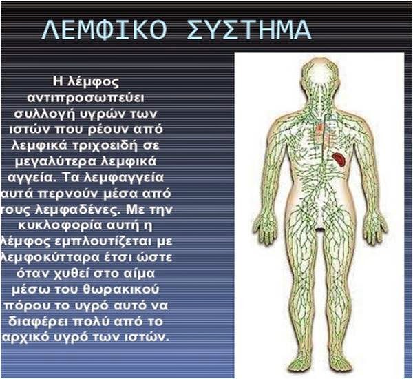Υγεία από Σιβηρία: ΛΕΜΦΙΚΟΥ ΣΙΣΤΗΜΑΤΟΣ