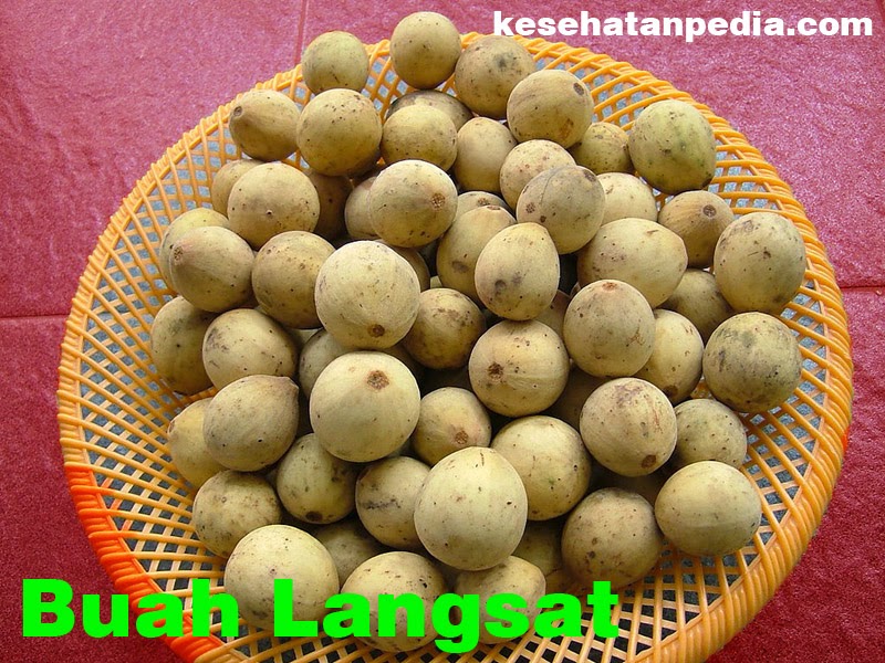 Manfaat Buah Langsat bagi Kesehatan dan Kandungan Gizinya - kesehatanpedia