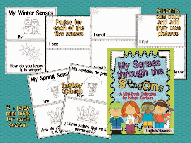 The Second Grade Superkids: My Senses Through the Seasons Activity