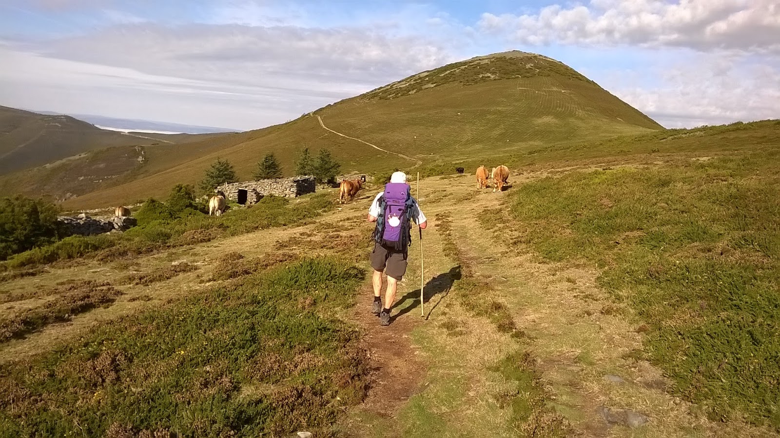 Jakobsvejen: Pilgrimme faret vild på Camino Primitivo Jakobsvejen: Pilgrimme faret vild på Camino Primitivo