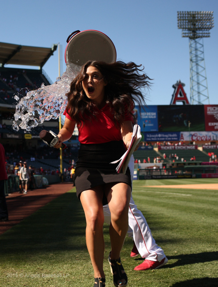 CoolerCupMLB: Alex Curry 7/26