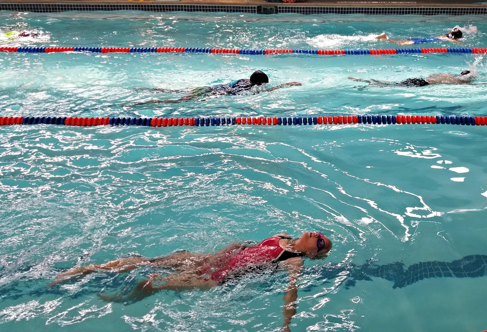 A GEEK DADDY: GOLDFISH SWIM SCHOOL SWIM FORCE