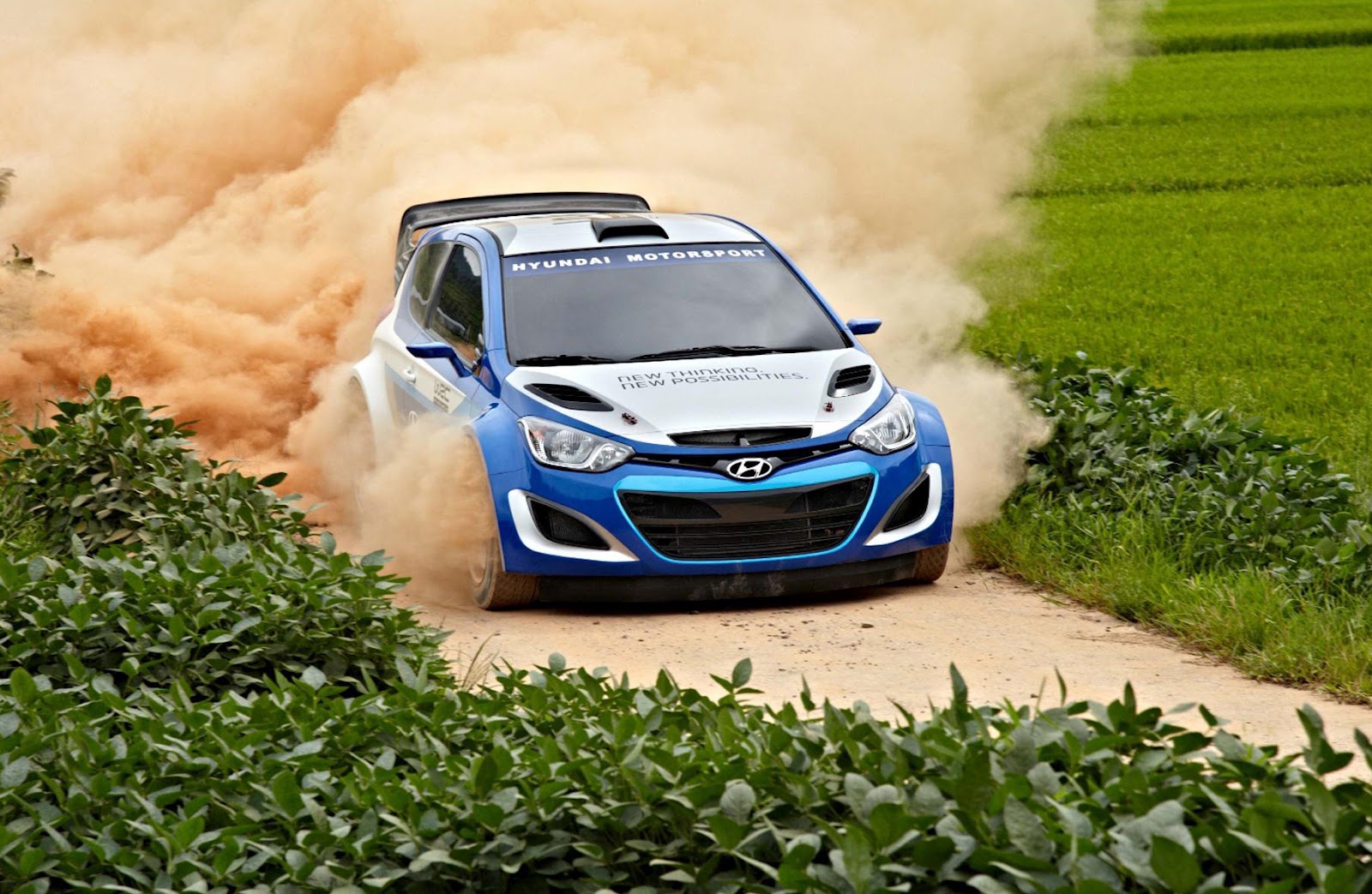 John Fife: Rally - Hyundai for WRC