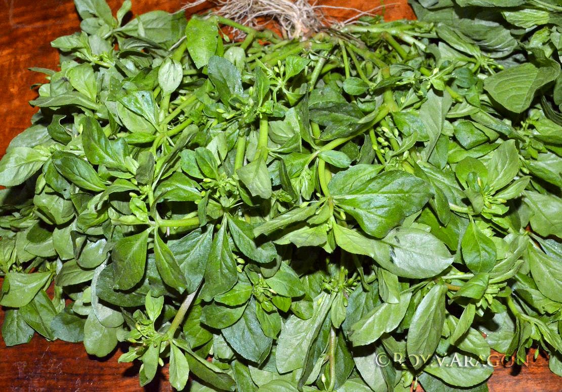 December 2014 ~ PINAKBET REPUBLIC