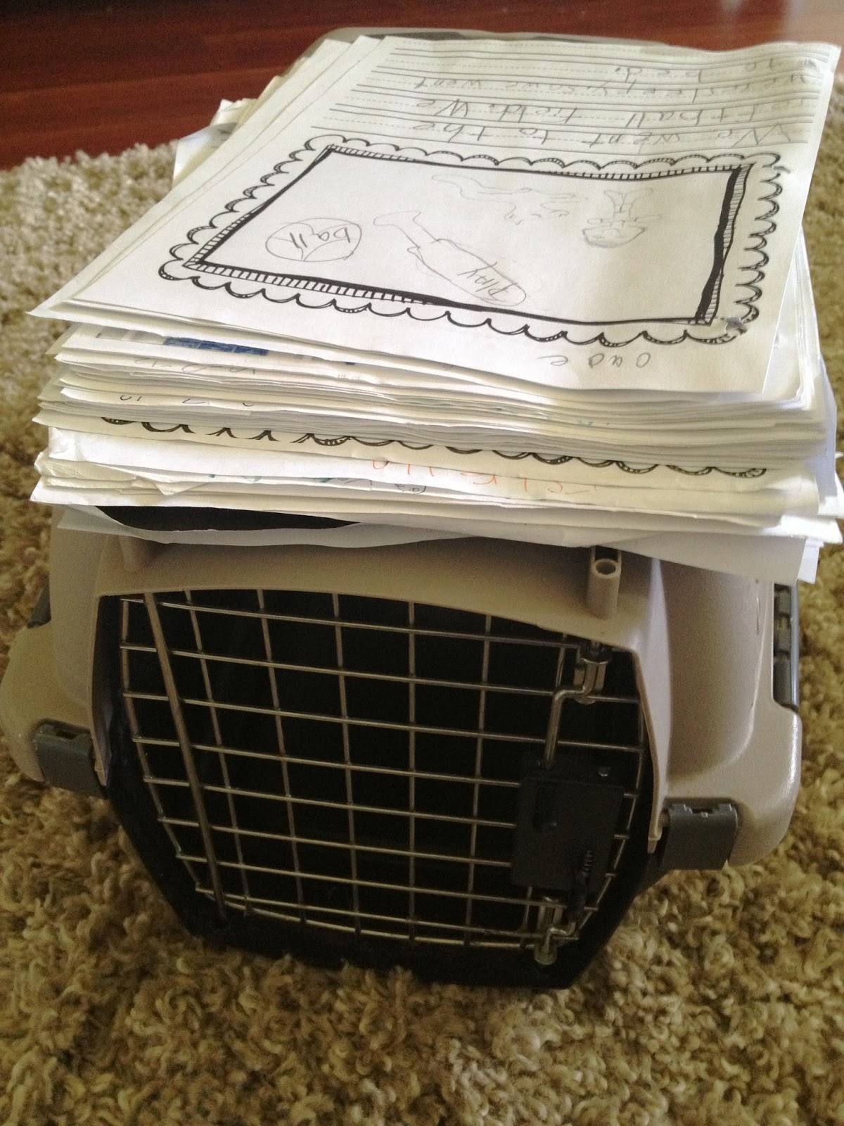 Class Pet Writing Journal - Tunstall's Teaching