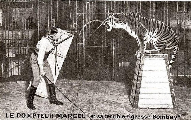 The Circus "NO SPIN ZONE": 03/23/11