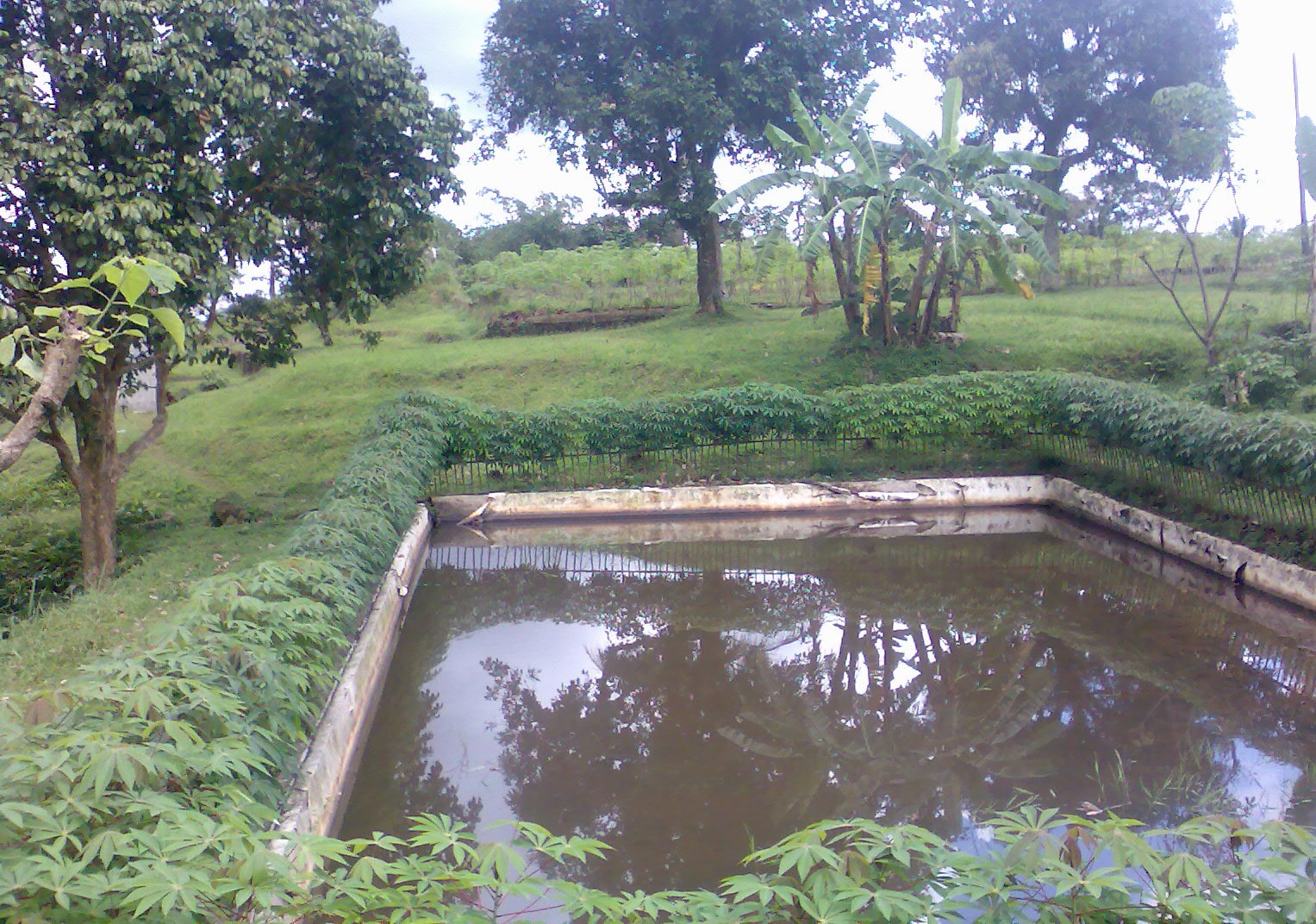 Tren Gaya 20+ Tampung Air Hujan