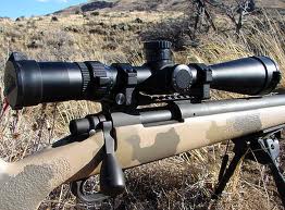 Learn the Different Types of Hunting Guns - Guns Review