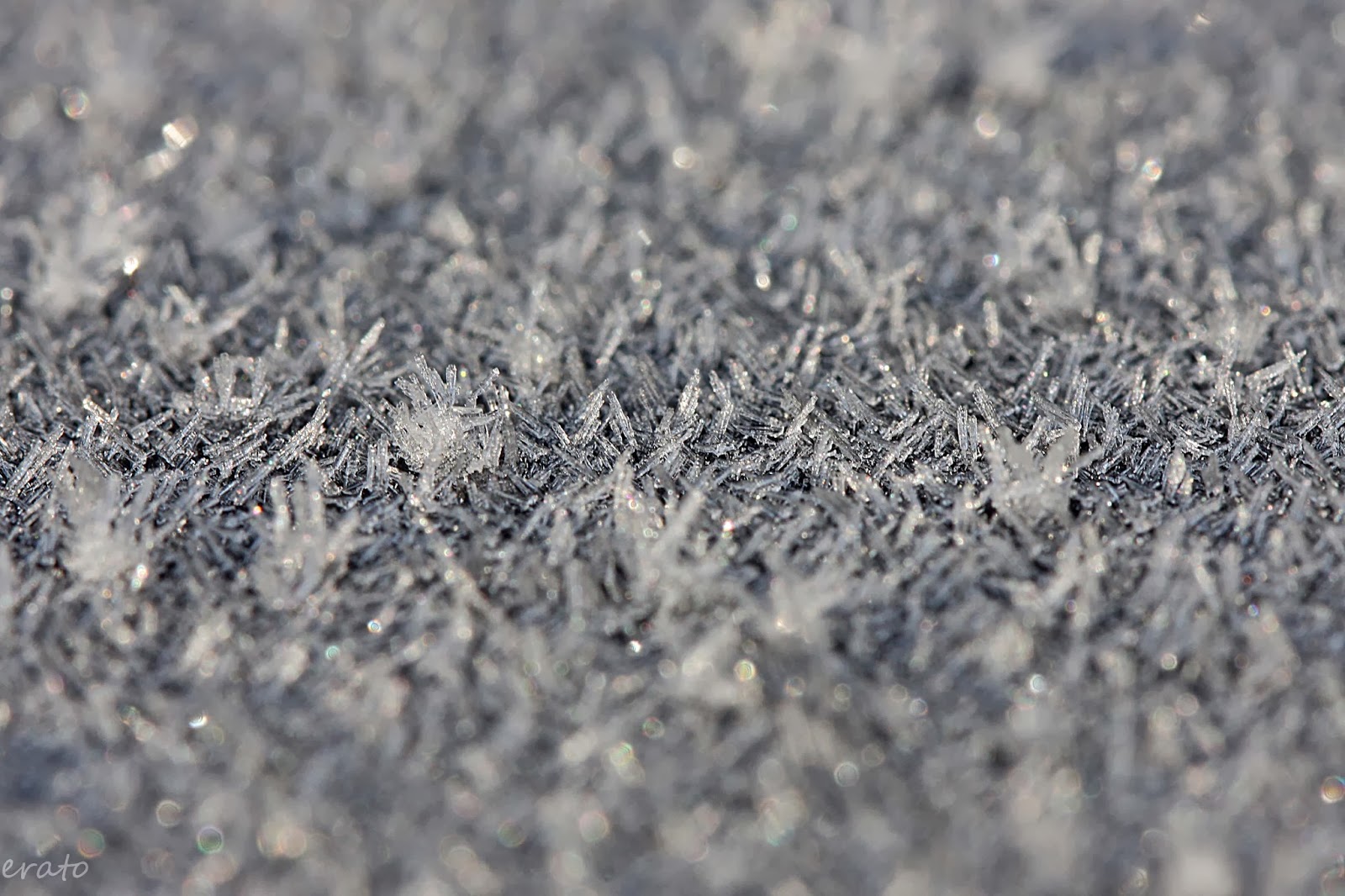 Rêveries: Entrée libre ......