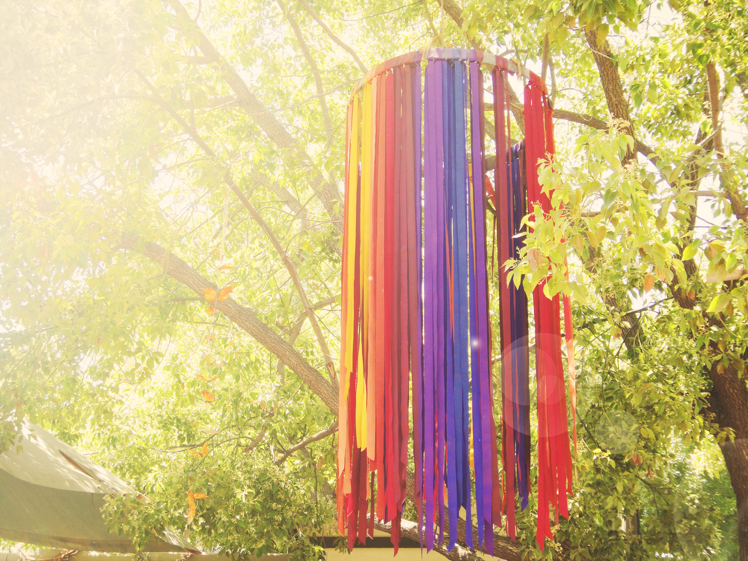 A Lowcountry Wedding - Charleston, Myrtle Beach & Hilton Head's ...