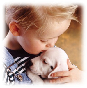 LA IMPORTANCIA DEL AFECTO