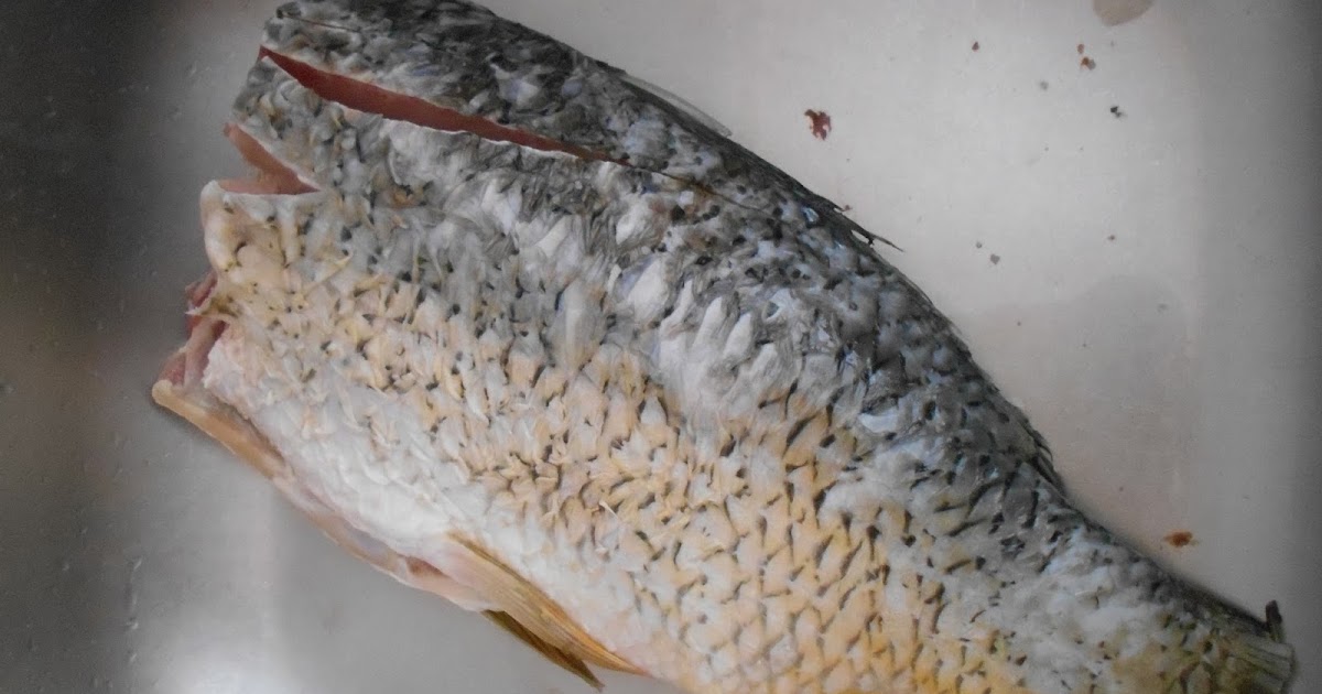 СЛЕДУЯ МЕЧТАМ - FOLLOWING MY DREAMS: РЫБА - ЭТО ПРОСТО! КАК готовить ...