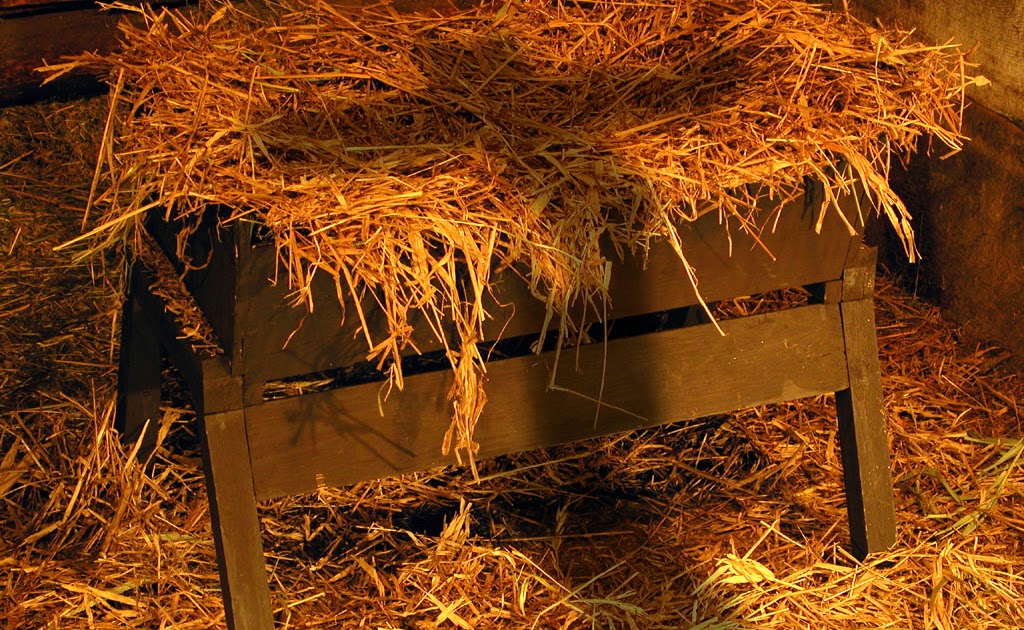 Joel Sisson: Straight Paths: Advent Week 4: Promise Delivered