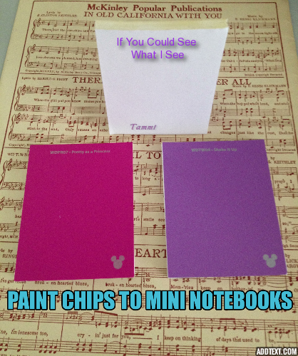 Velezita: Paint Chip Notebooks