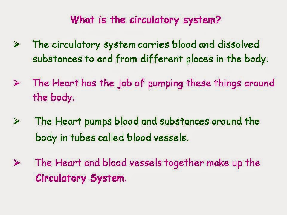 Science8: Semester 1, Chapter 3 - Human circulatory system