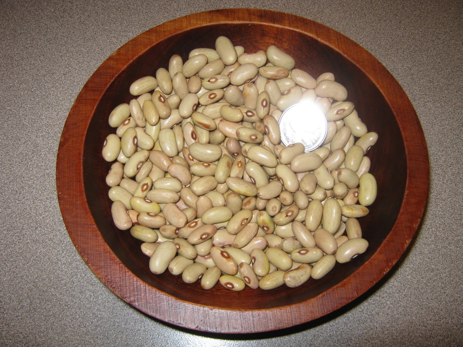 Itty Bitty Seeds: Beans, beans and more beans