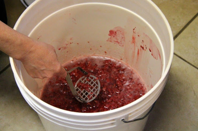The Feral Turtle: Homemade Raspberry Wine