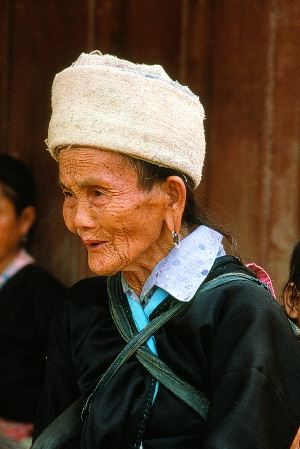 Mirror, Mirror on The Wall : Culture Diversity: Elephants and Kui People