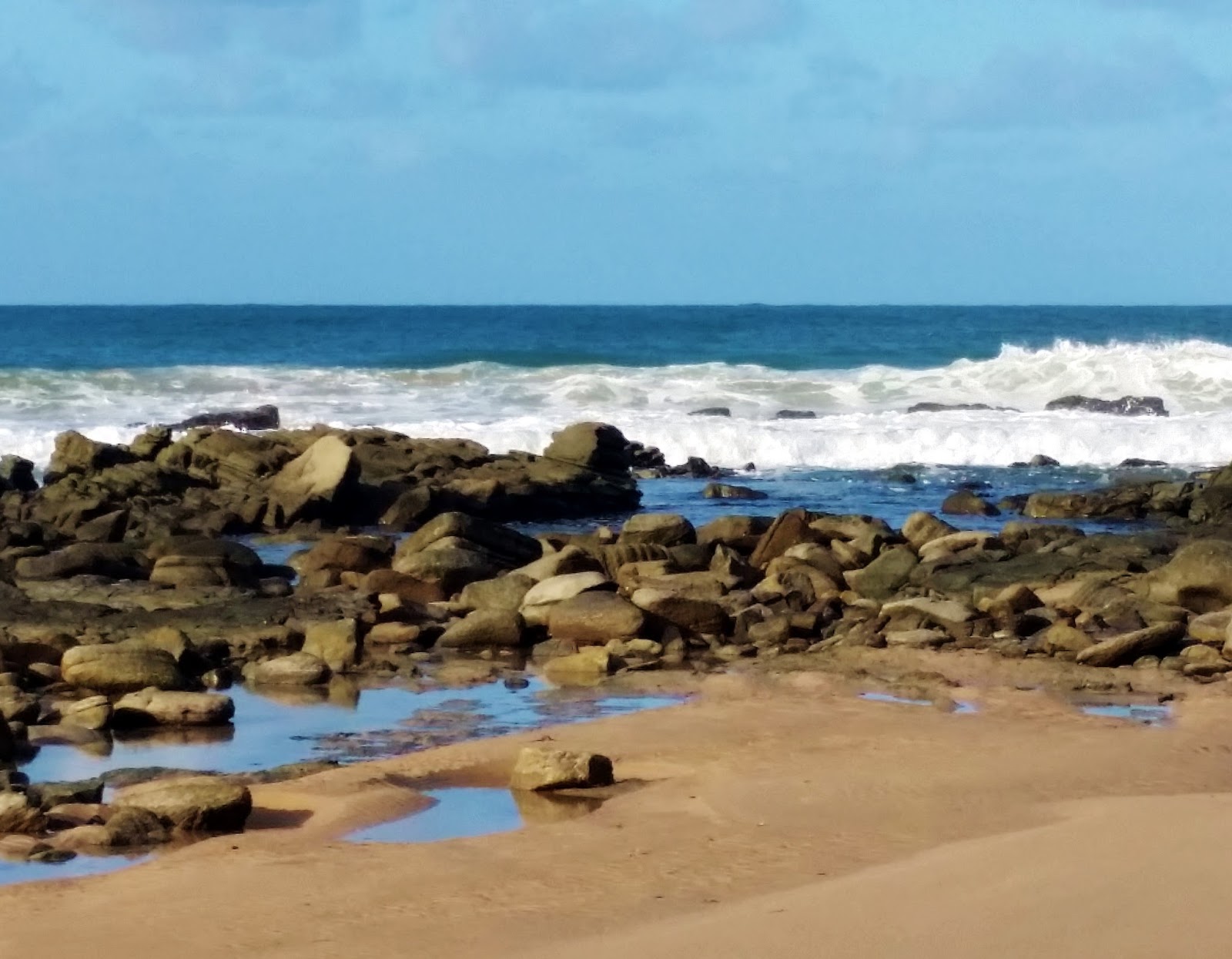 Suburb Guide: Alexandra Headland