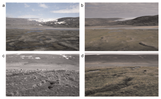 The Artic Tundra: The Arctic Tundra
