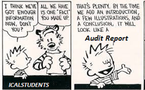 Auditor Jokes