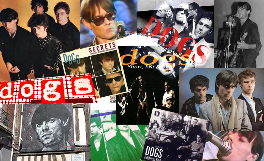 Les DOGS... en Français