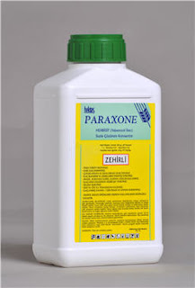 Takıldık bir avuç böceğin peşine, çıktık bir maceraya....: Arılıklarda ...