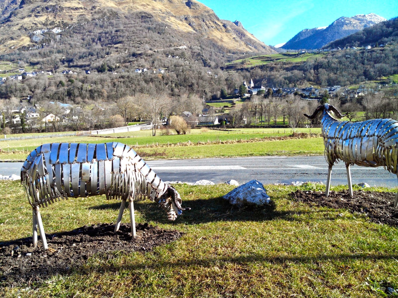 Arrajou news: Drôles de brebis