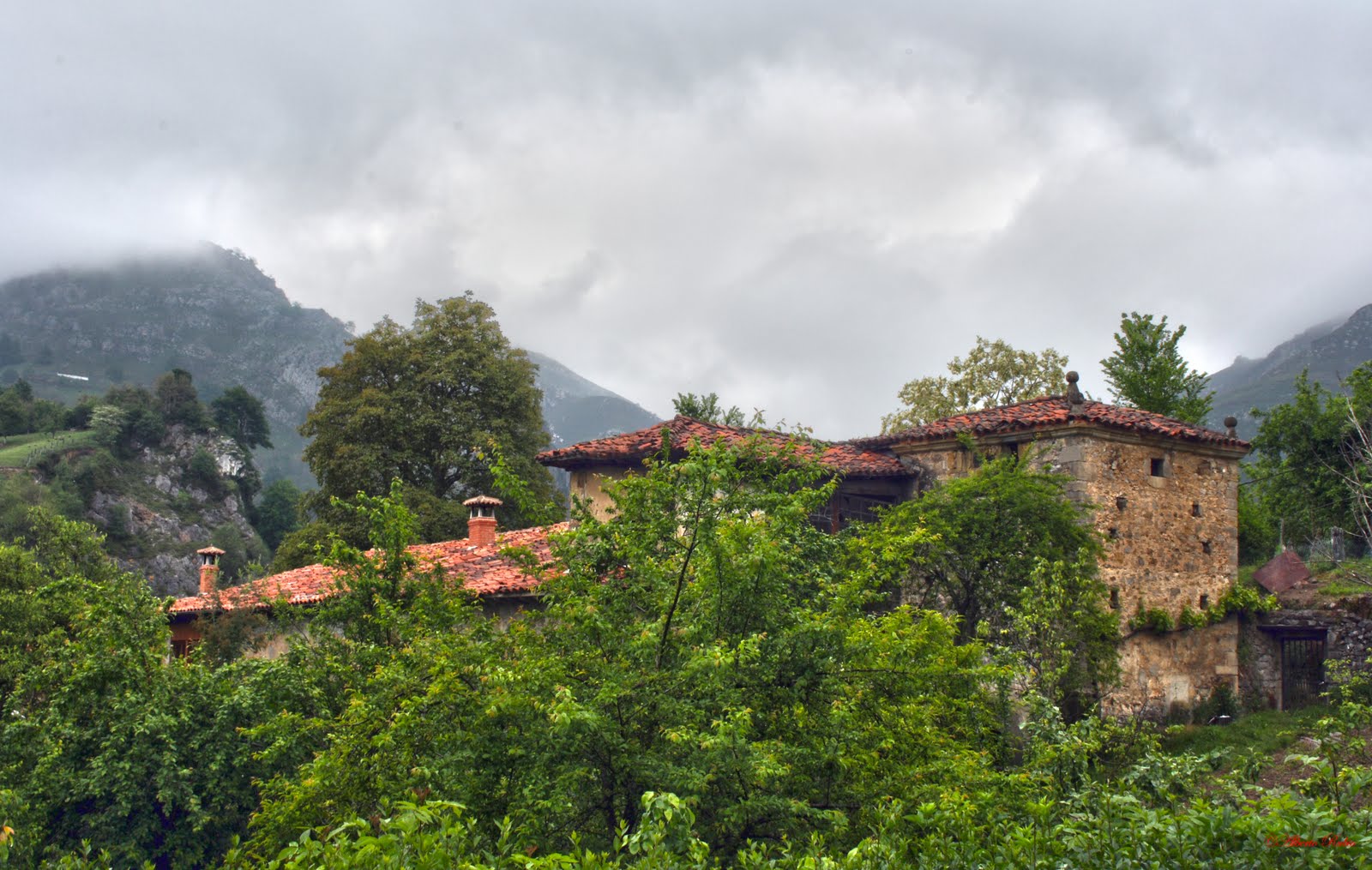 Click!...Pajarito!: La Aldea