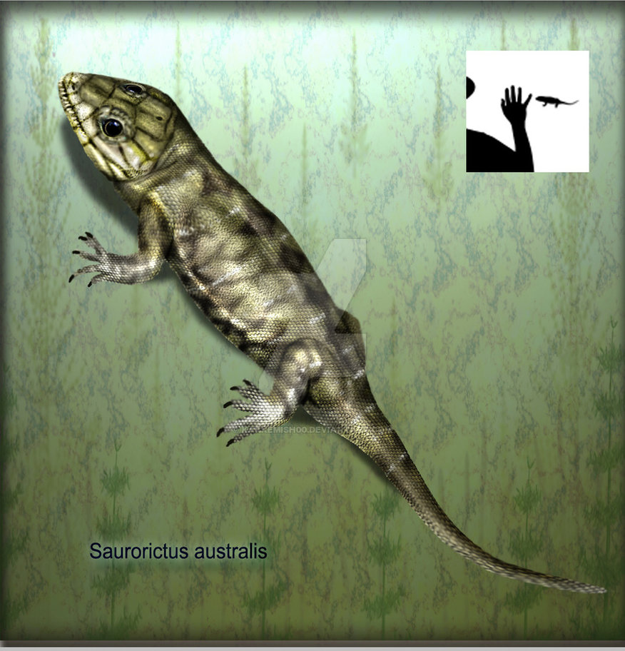 Escenarios prehistóricos: Saurorictus