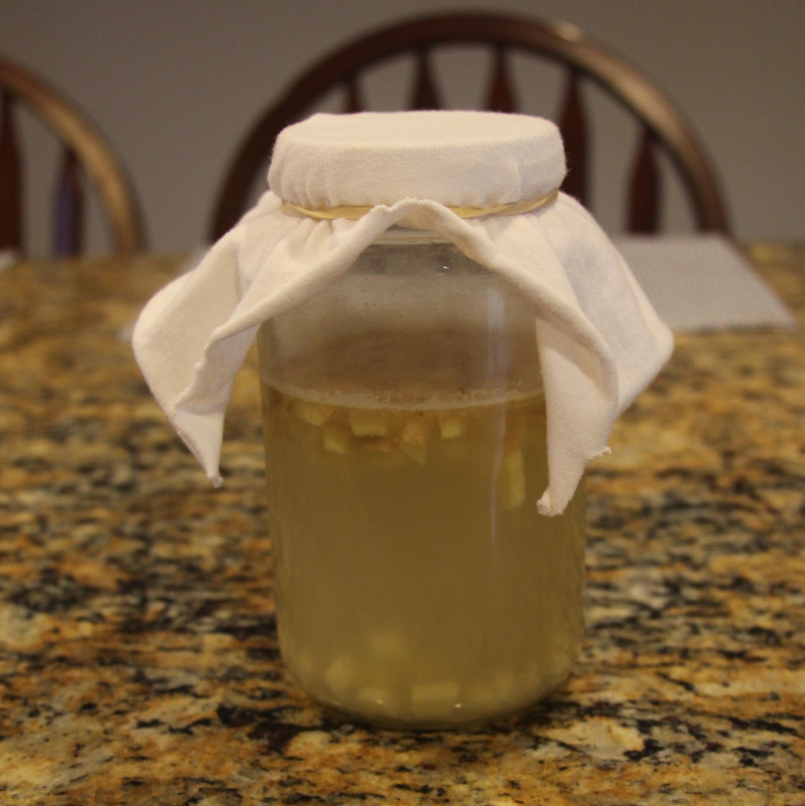 The Homemade Housewife: Homemade, Naturally Fermented Soda