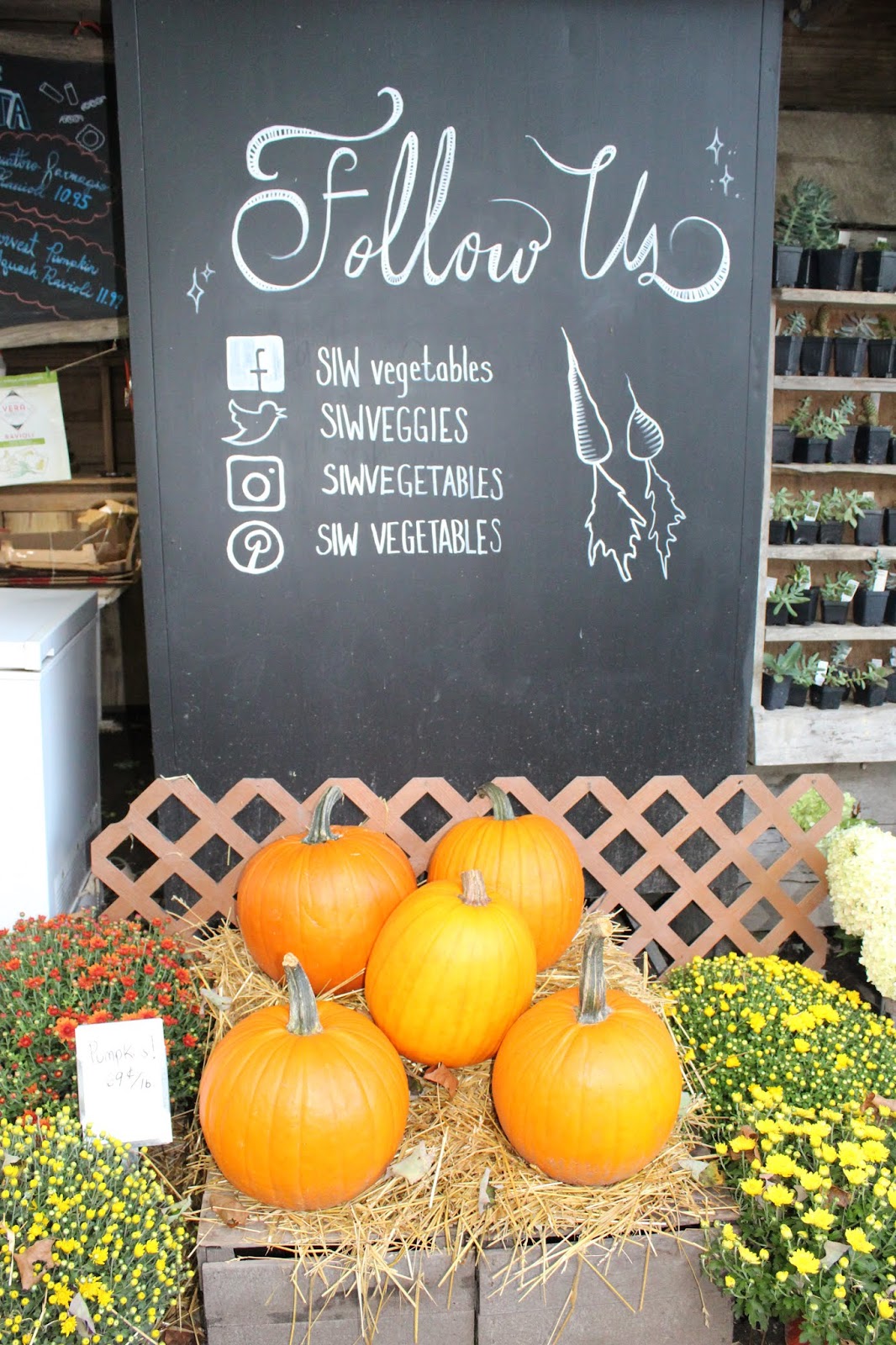 SIW Vegetables: Fall Farm Stand