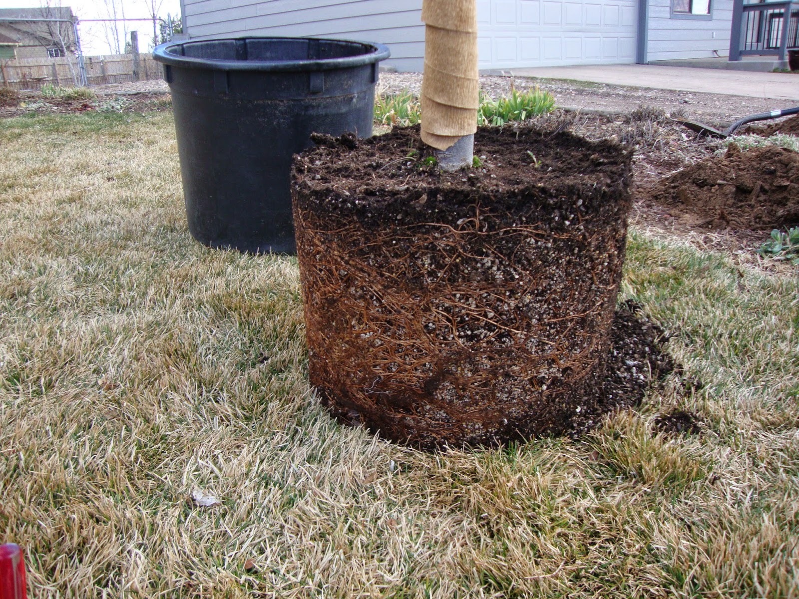 CO-Horts: March 2014