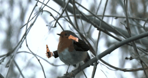 Chuck's Fun Page 2: Animator gets creative - 19 GIFs of birds with arms