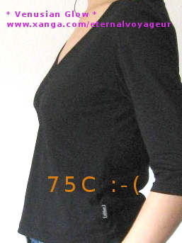 Eight Years Of Wearing Well-Fitting Bras -- What Changed? - Venusian*Glow
