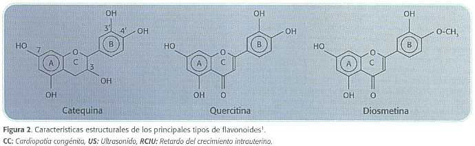 SENSIBILIDAD QUIMICA MULTIPLE-LA PUERTA DE LA LUZ : Los flavonoides y ...