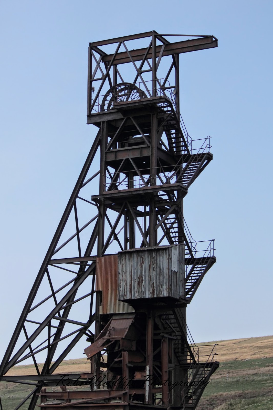 Robs wildlife photography