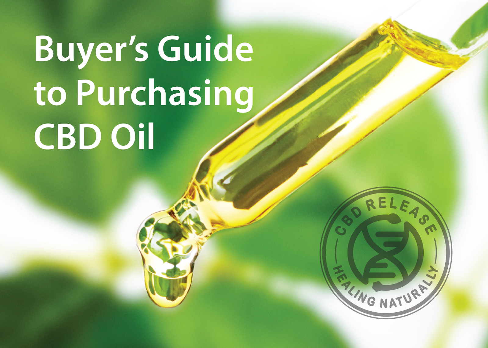 How To Purchase CBD Oil