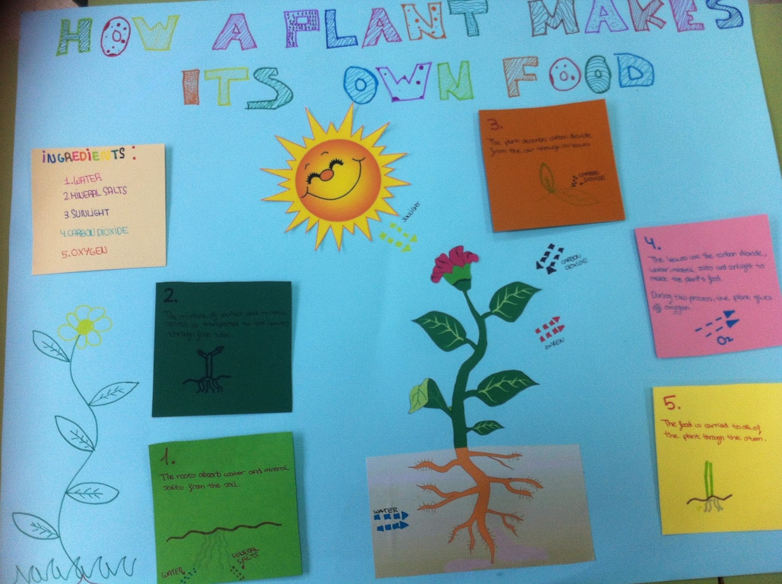 Some of the Projects Class 4 How plants make their own food