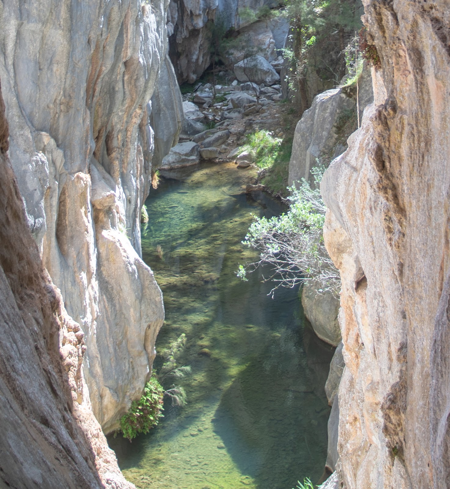 Ruins: Mares Forest Canyon, Wombeyan Karst Conservation Area