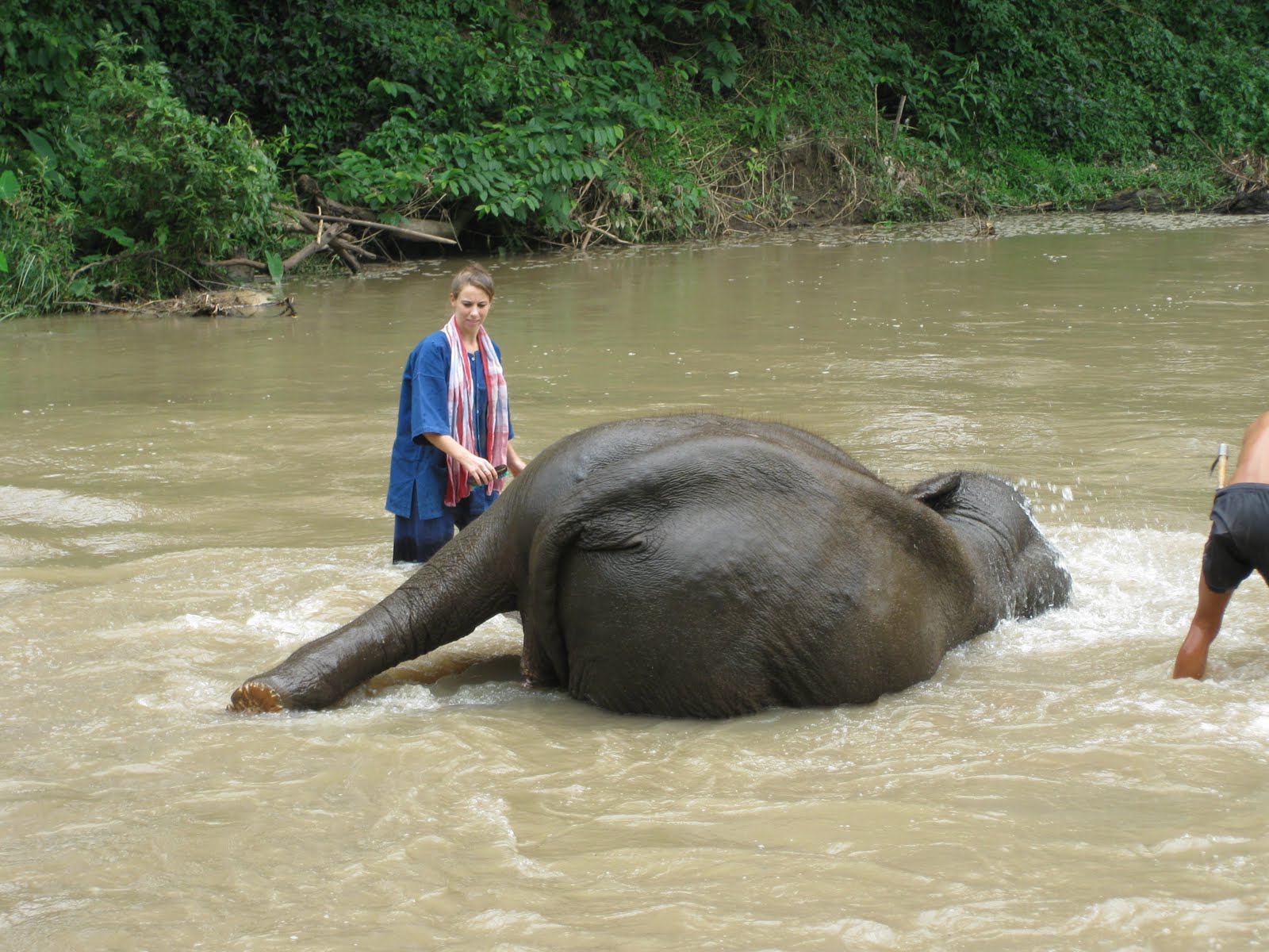 same same but different: Chiang Mai and Pin Bwong