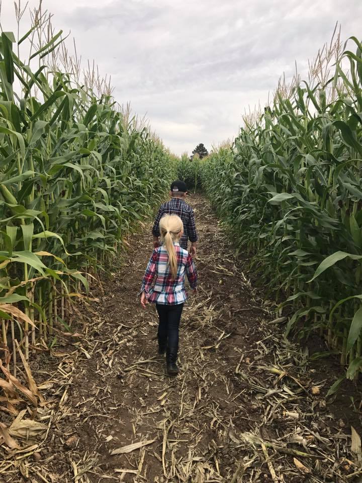 Tips For Visiting Maize in the City & Haunted Field of Screams ...