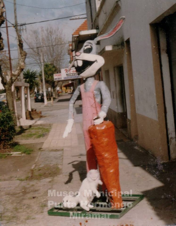 Museo Municipal "Punta Hermengo" de Miramar.: El famoso conejo loco de ...