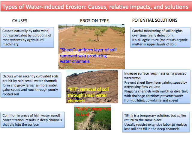 Biol476 Web Project: Soil Erosion Types, Causes, and Potential Solutions