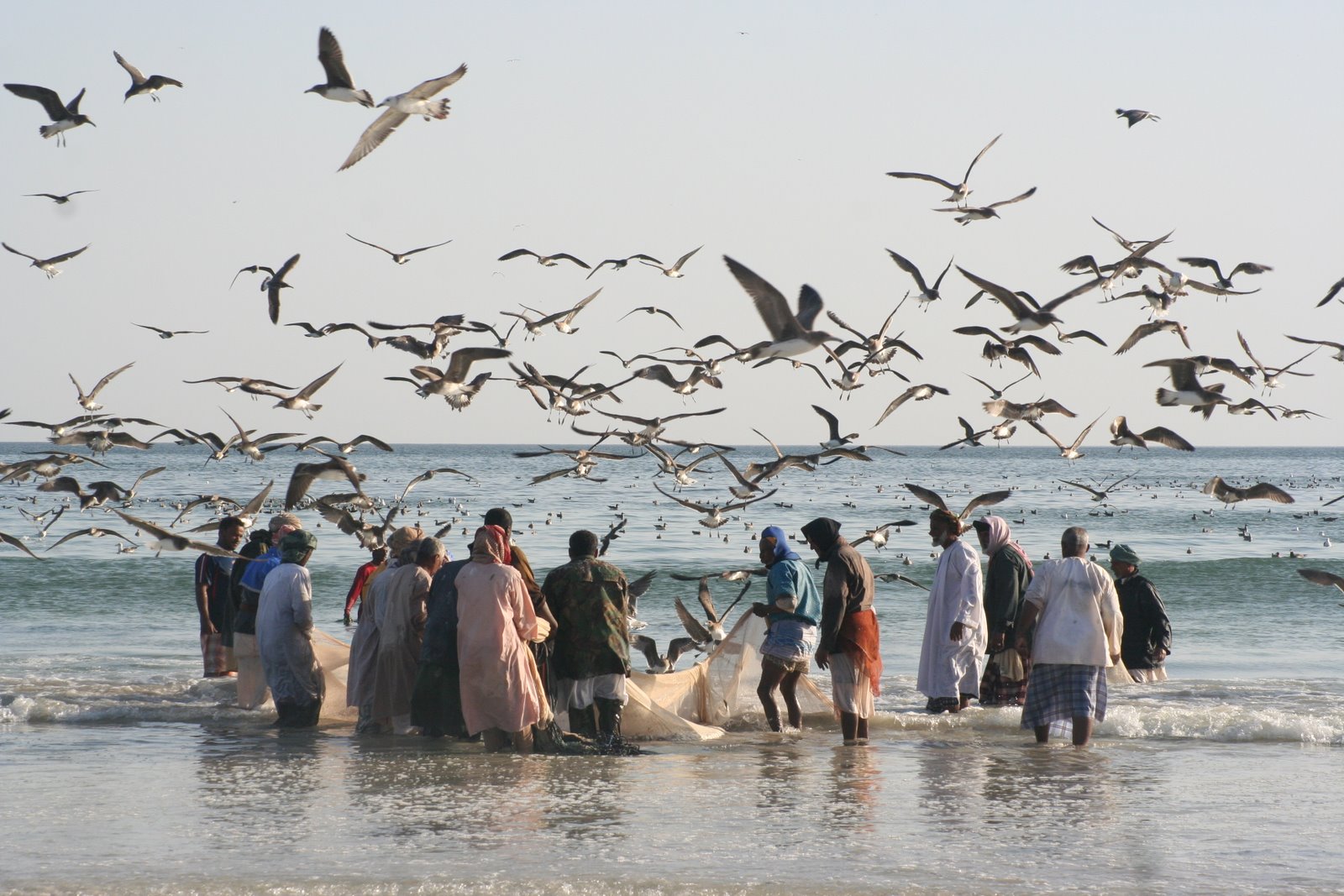 1000 Amazing Places: #949 Salalah, Oman